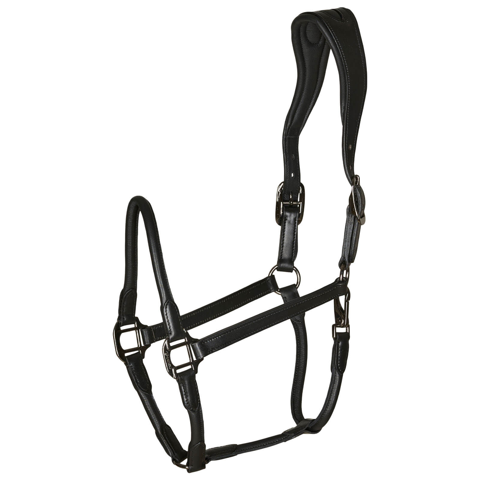 Catago Equestrian Lederhalfter kaufen | kavalio